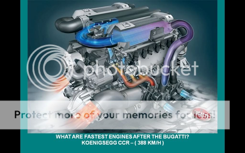 Oh Yeah Baby W-16 - Shoptalkforums.com