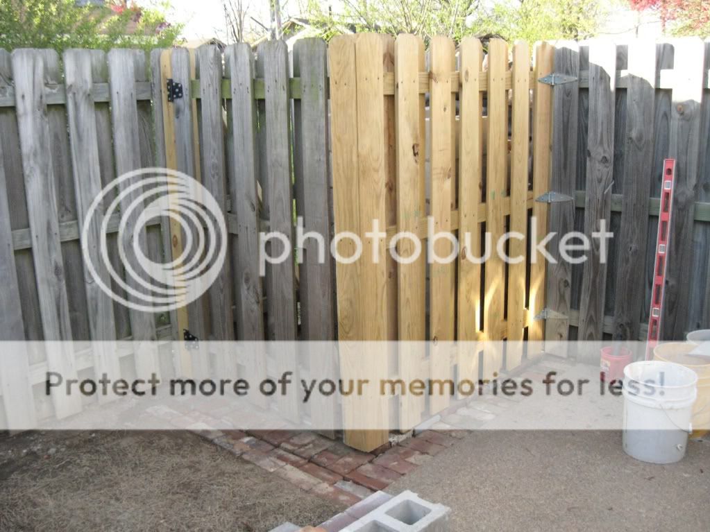 How i hide my filters | Garden Pond Forums